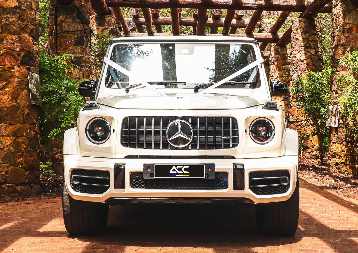 Become A Member | ACC VIP Membership | Ayani Car Collective